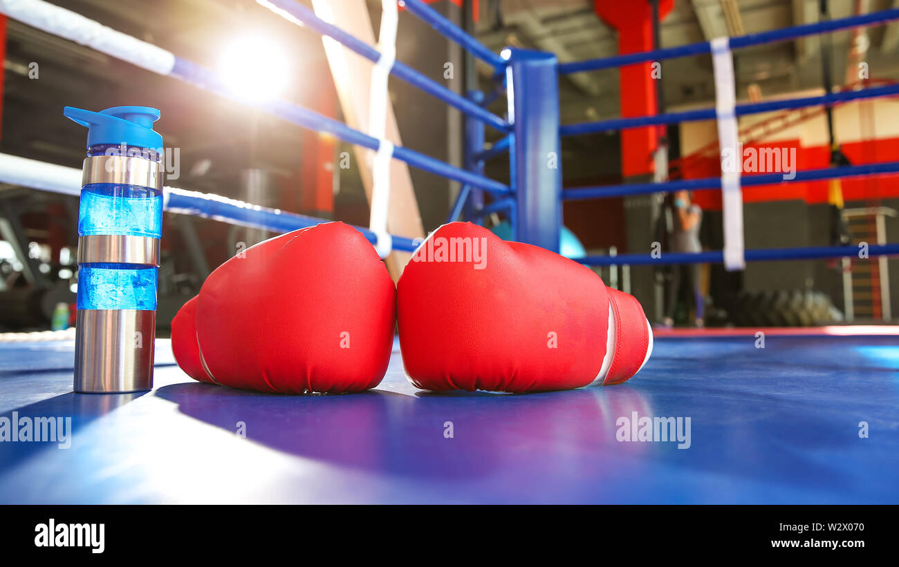Boxing gloves on ring in gym Stock Photo - Alamy