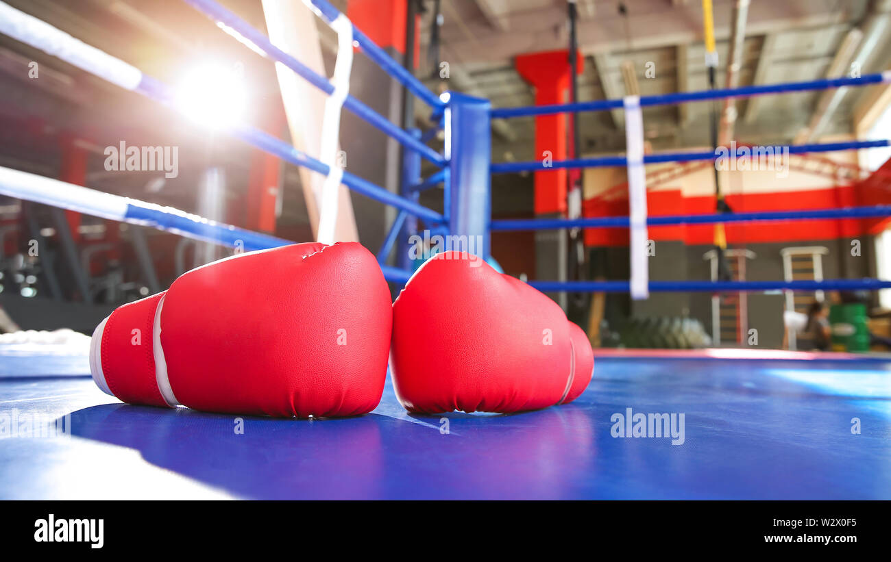 Boxing gloves on ring in gym Stock Photo - Alamy
