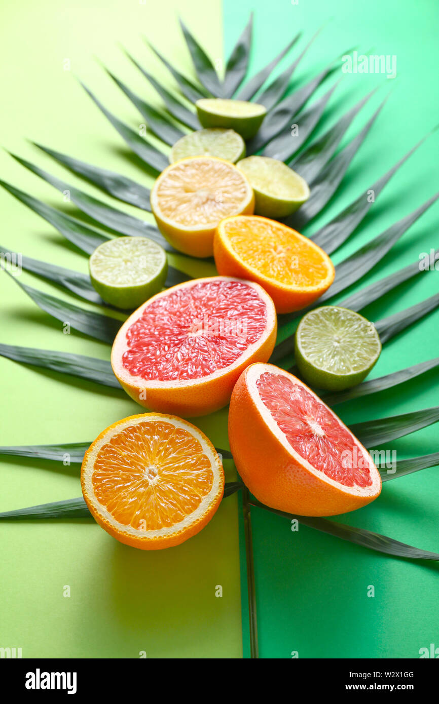 Many different citrus fruits and palm leaf on color background Stock ...