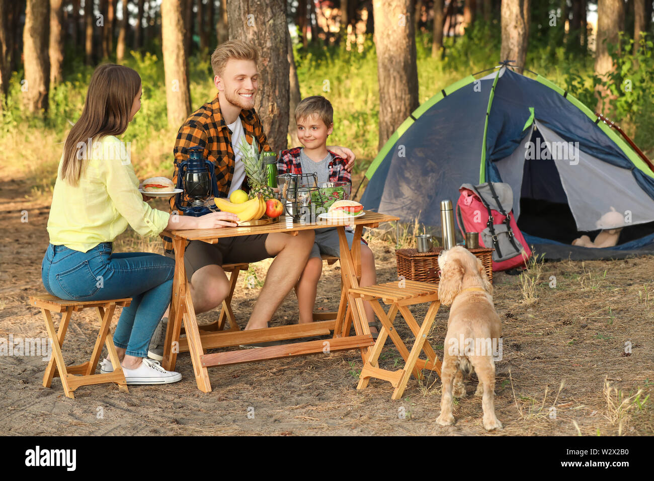Happy family having picnic in forest Stock Photo - Alamy