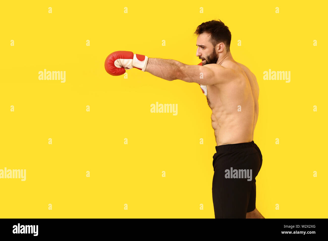 Strong male boxer on hi-res stock photography and images - Alamy