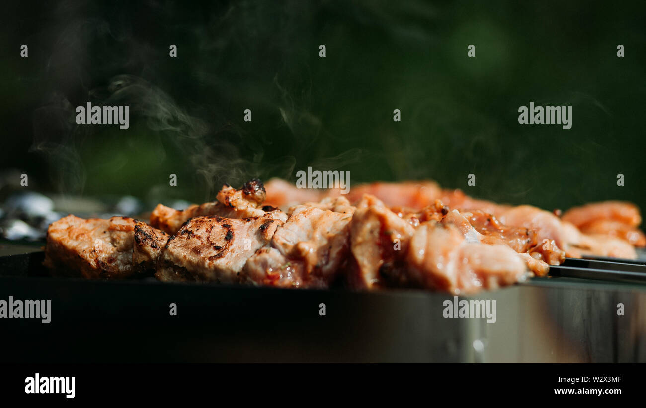 BBQ during a road trip near lake baikal Stock Photo - Alamy