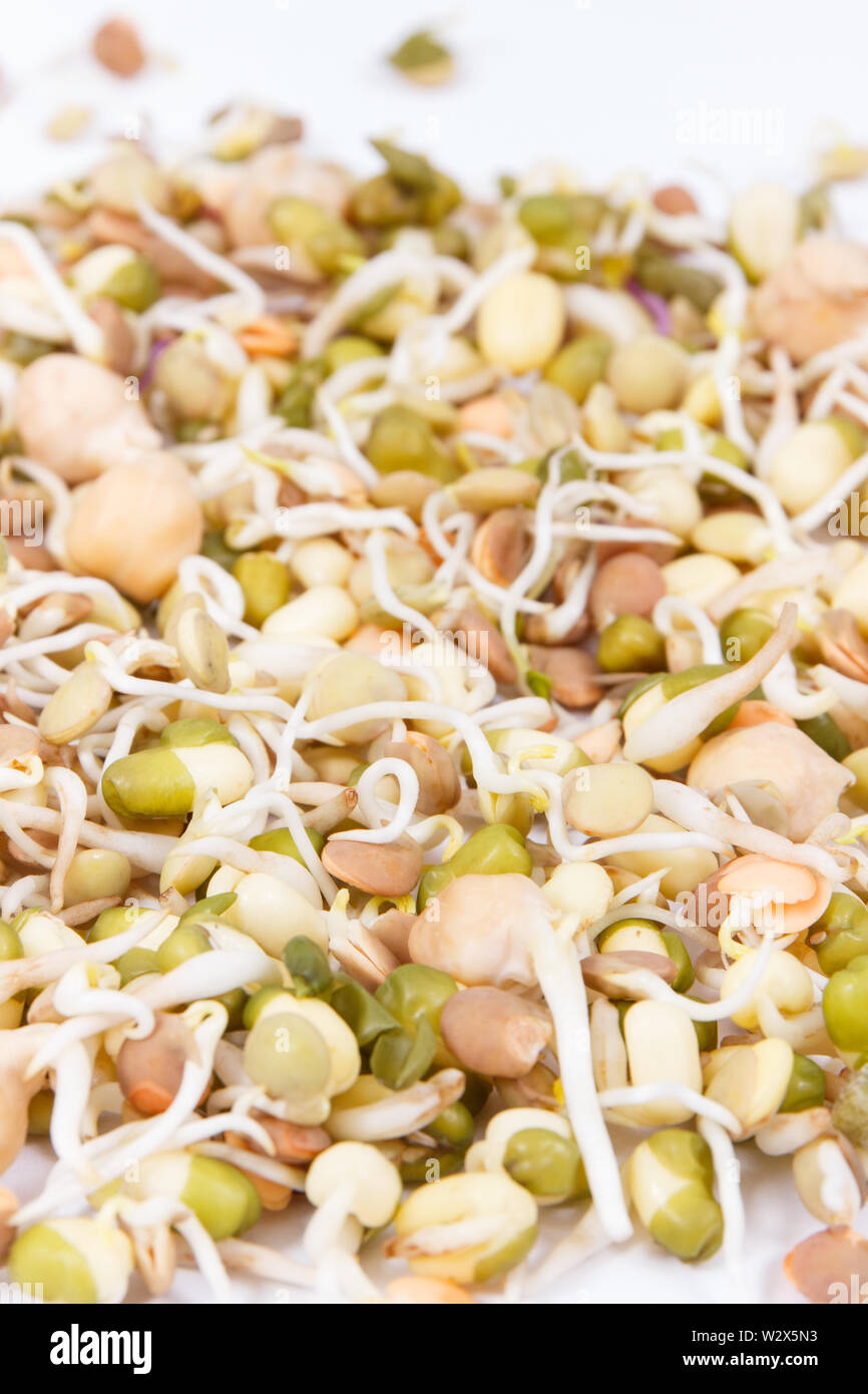 Nutritious different sprouts as source natural vitamins and minerals ...