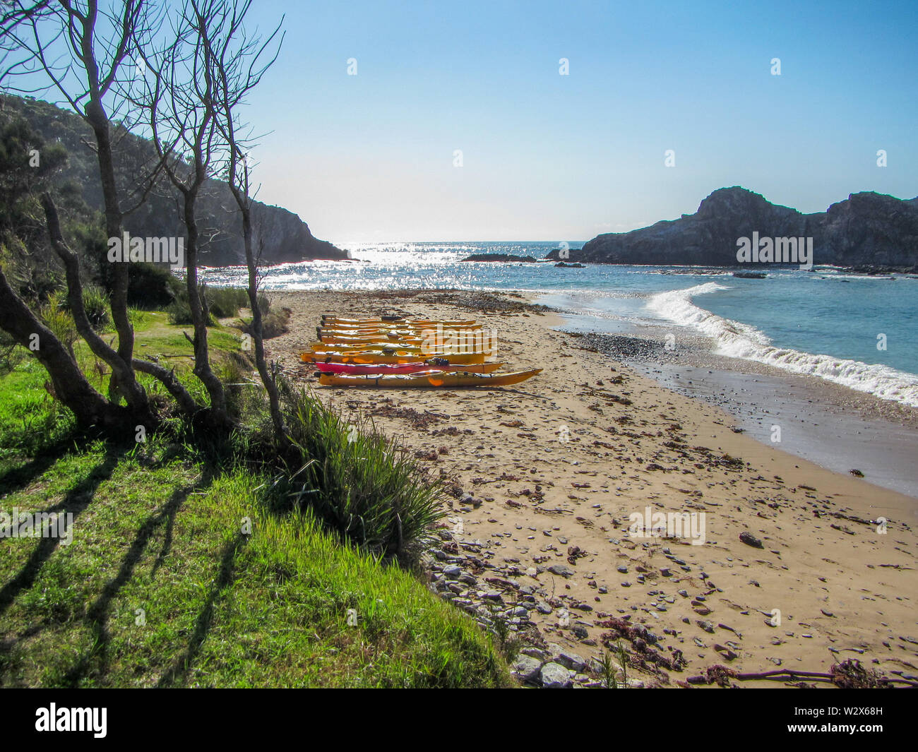 Eight empty kayaks on beach in preparation for tour, Guerilla Bay, near ...