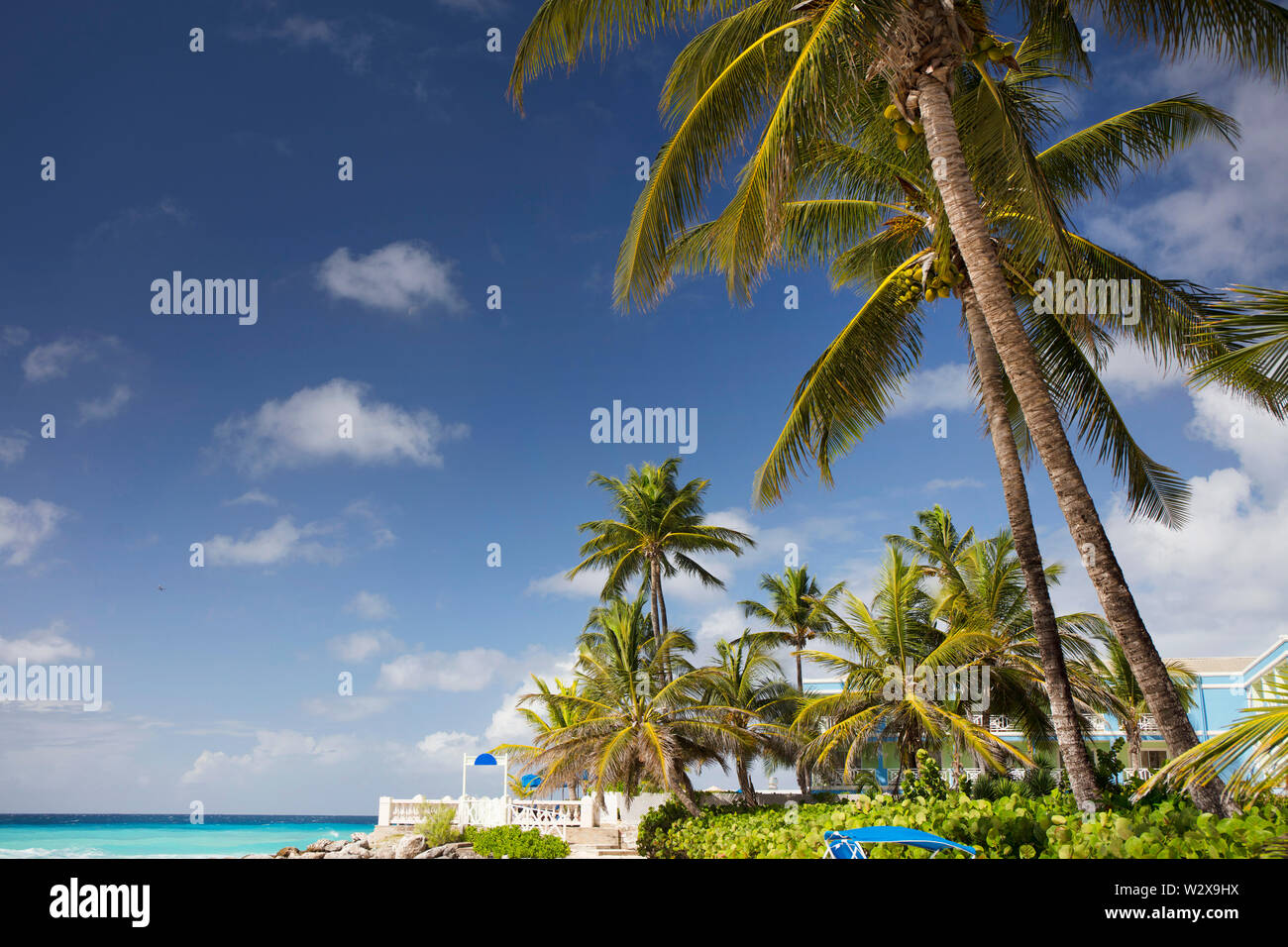 Summer on Barbados Island. Exotic vacations. Palm trees. Turquoise ...