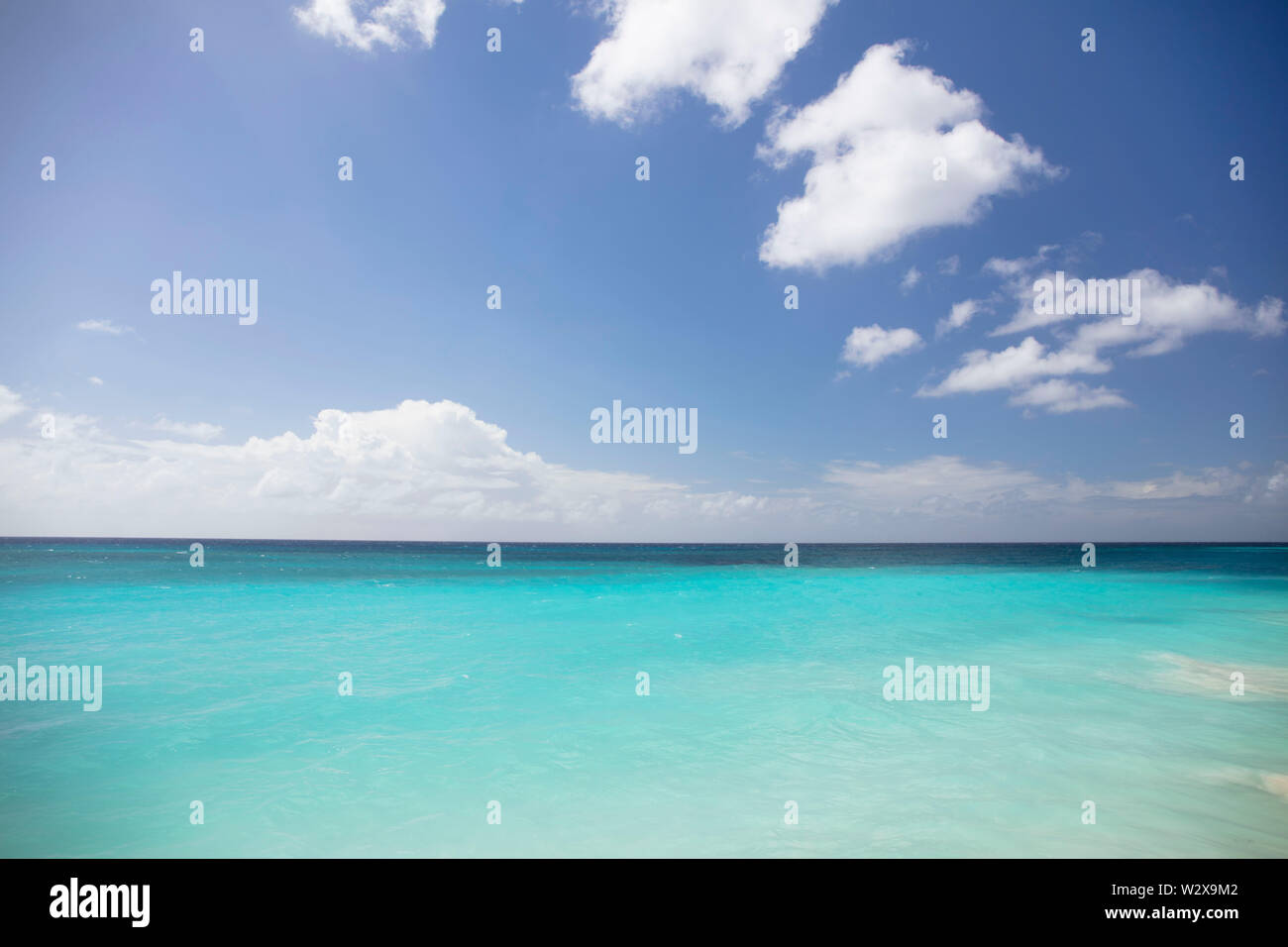 Summer on Barbados Island. Exotic vacations. Palm trees. Turquoise ...