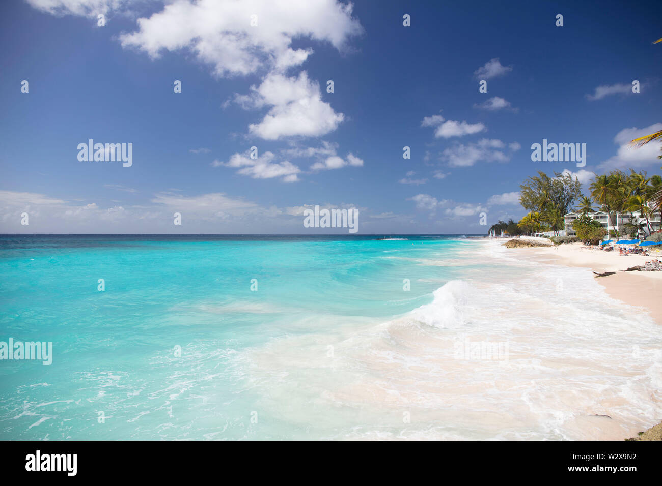 Summer on Barbados Island. Exotic vacations. Palm trees. Turquoise ...