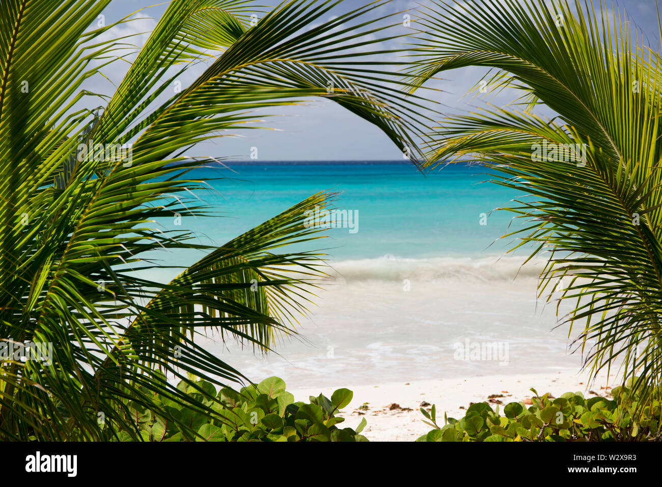 Summer on Barbados Island. Exotic vacations. Palm trees. Turquoise ...
