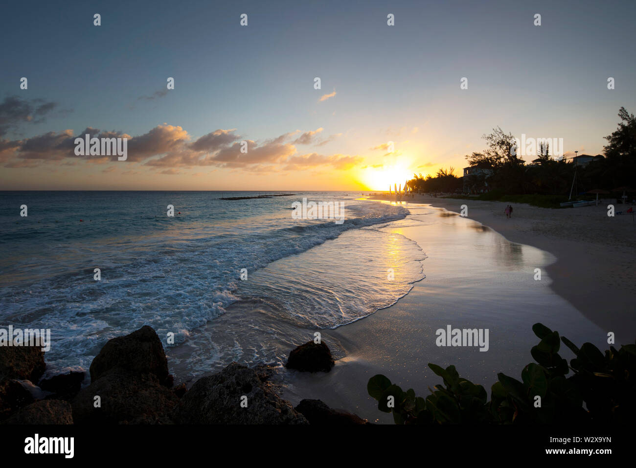 Summer on Barbados Island. Exotic vacations. Palm trees. Turquoise ...