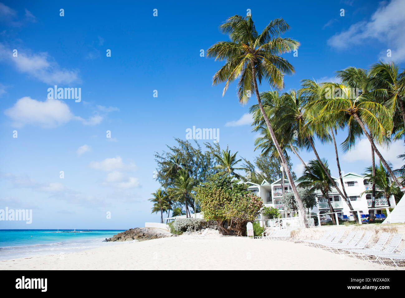 Summer on Barbados Island. Exotic vacations. Palm trees. Turquoise ...
