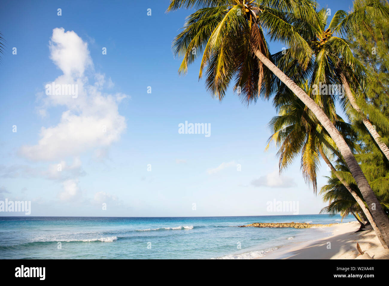 Summer on Barbados Island. Exotic vacations. Palm trees. Turquoise ...