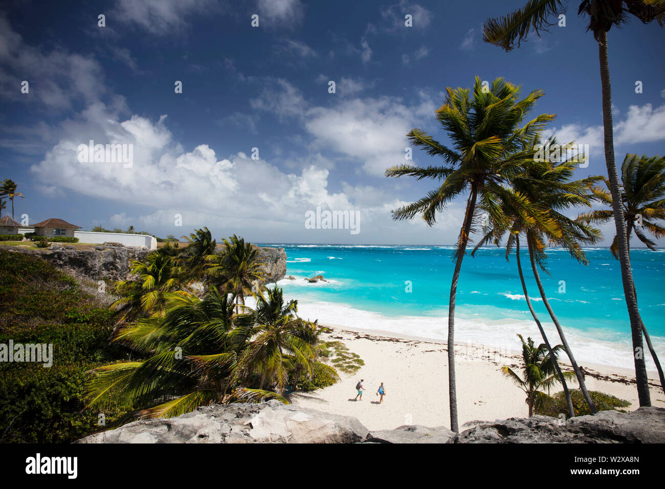 Summer on Barbados Island. Exotic vacations. Palm trees. Turquoise ...