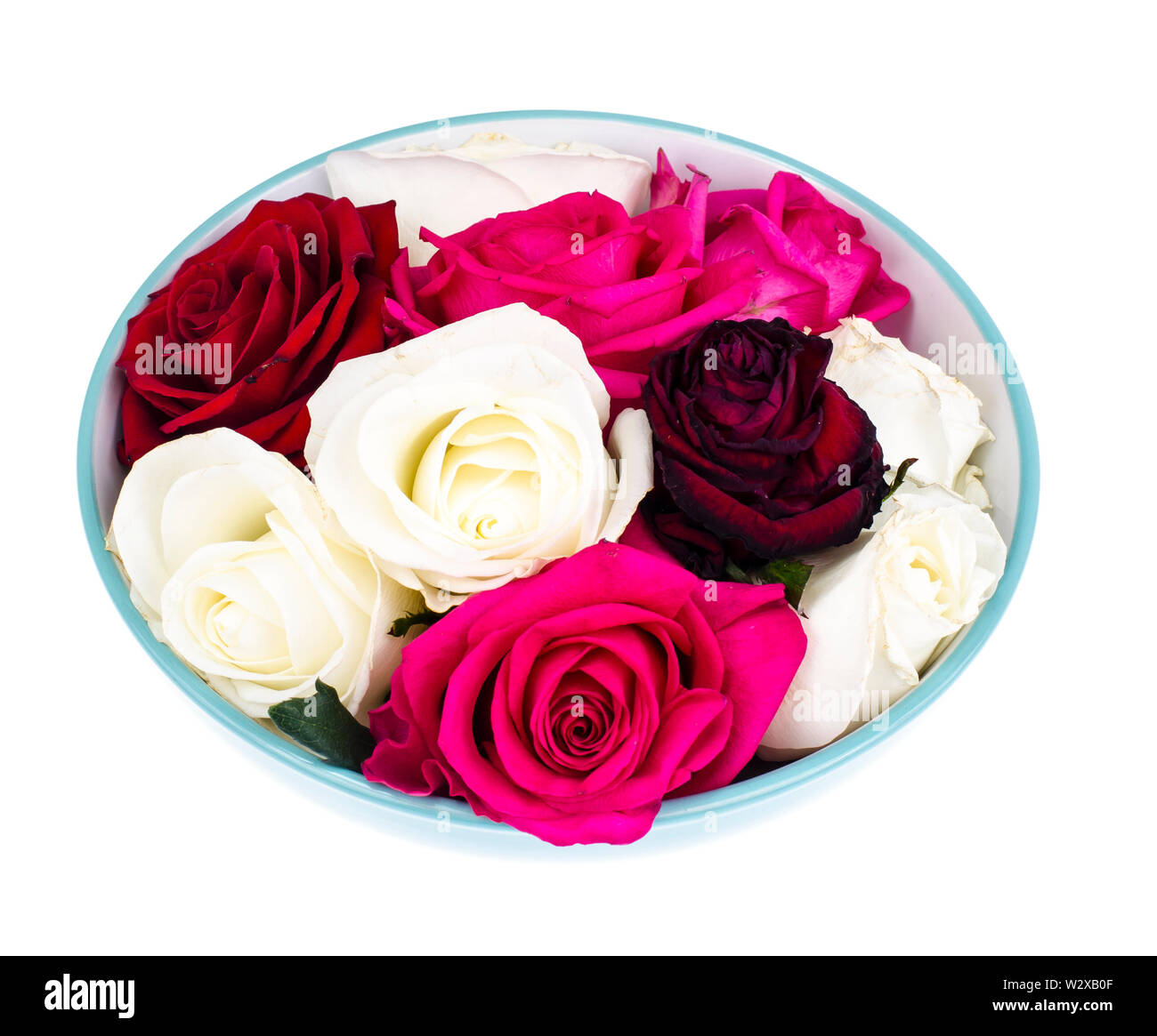 Cream colored card Cut Out Stock Images & Pictures - Alamy