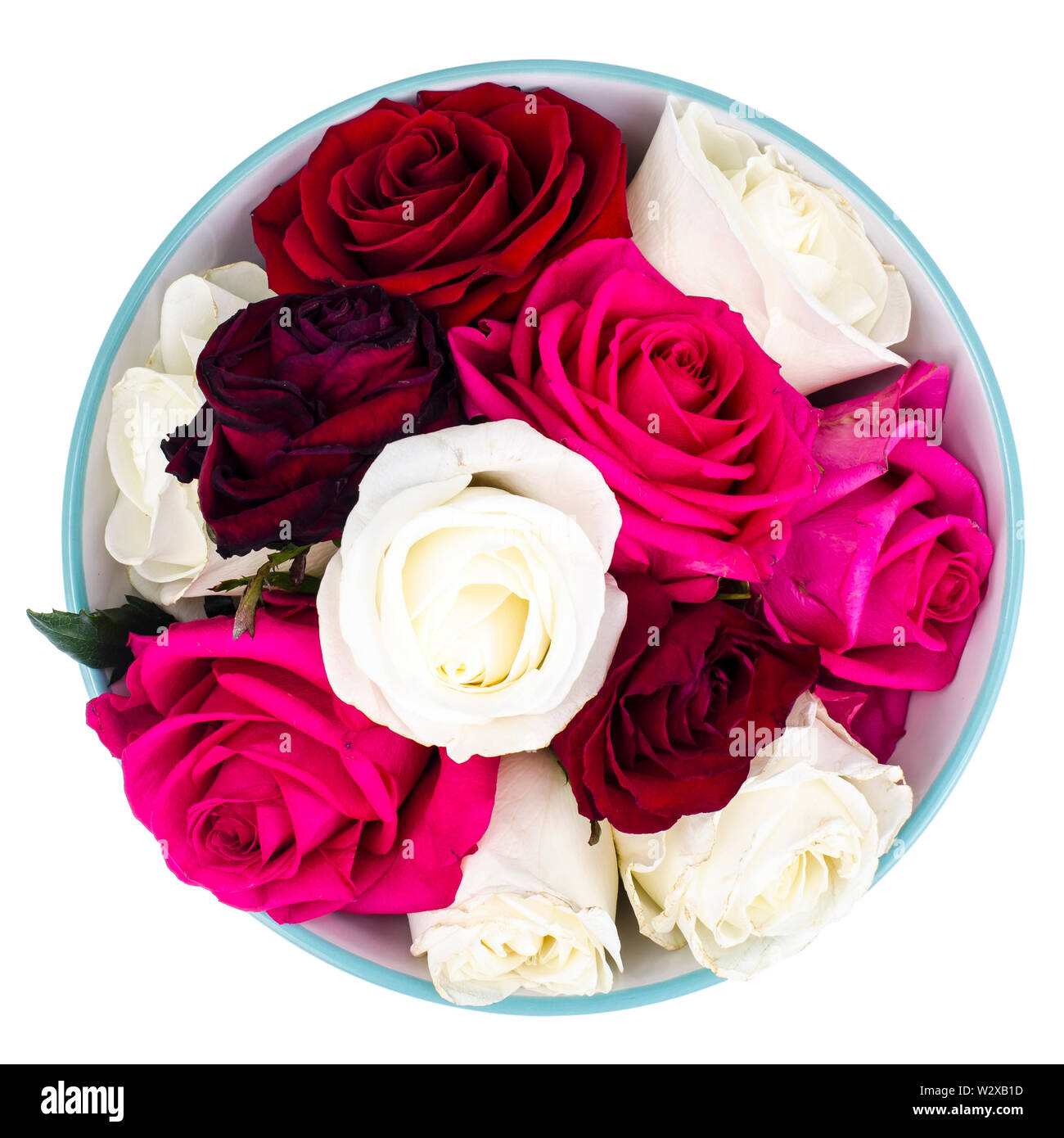 Cream colored card Cut Out Stock Images & Pictures - Alamy