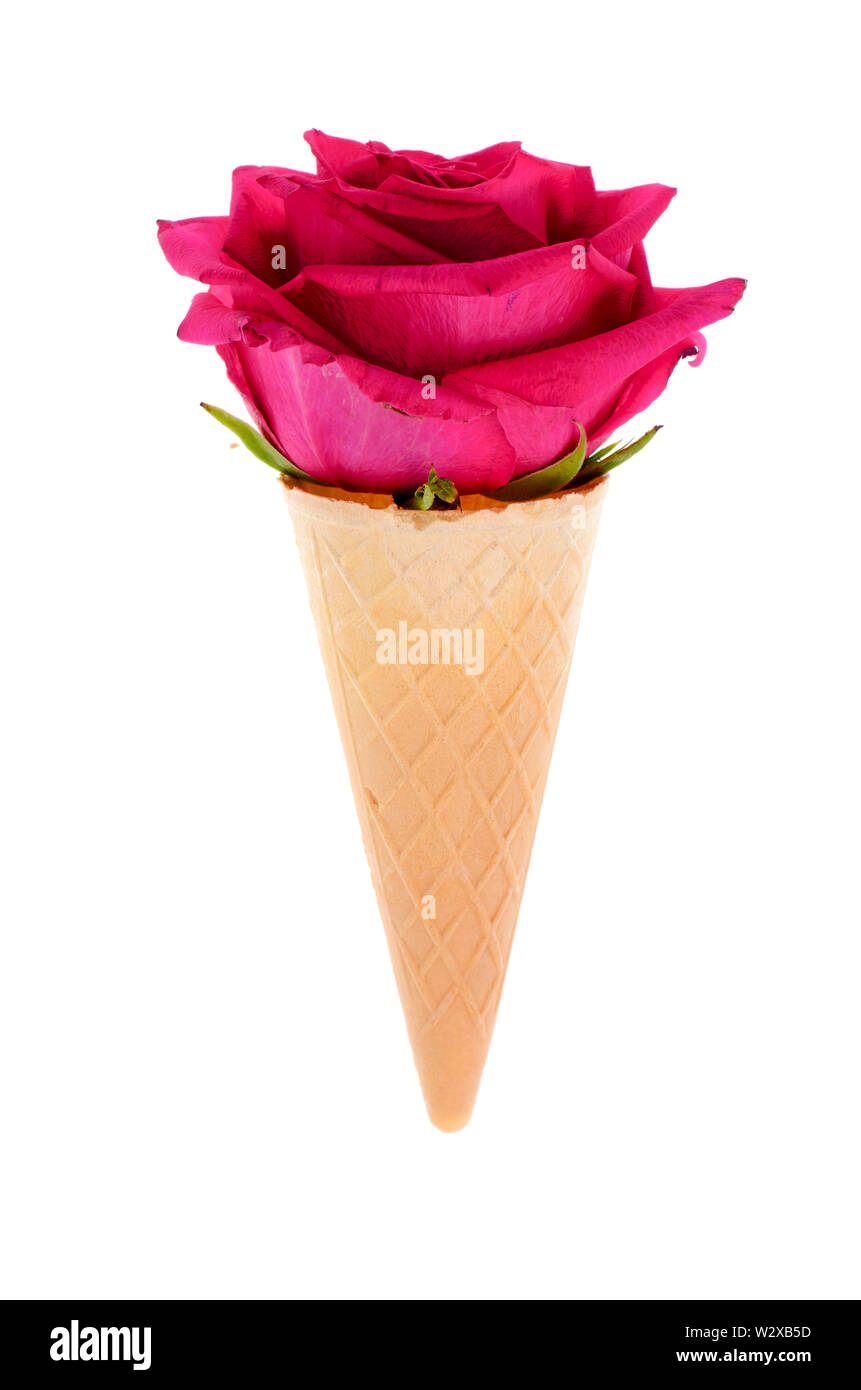 Waffle cone flowers ice Cut Out Stock Images & Pictures - Alamy