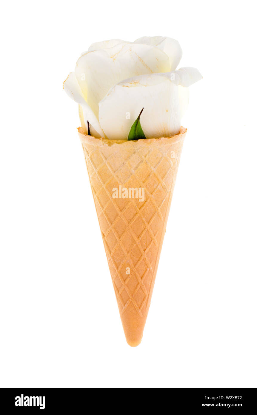 Roses in awafer ice cream cone Stock Photo - Alamy