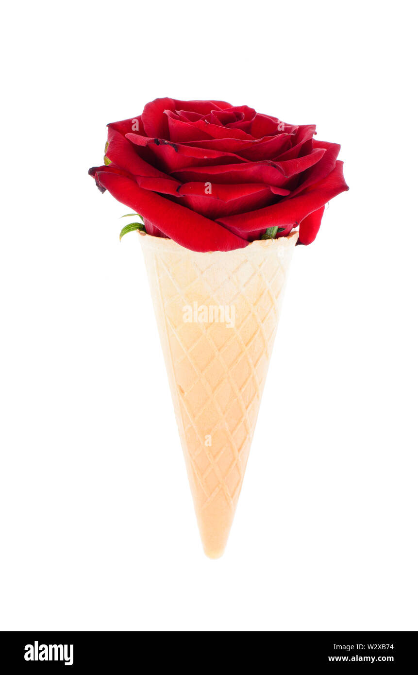 Roses in awafer ice cream cone Stock Photo - Alamy