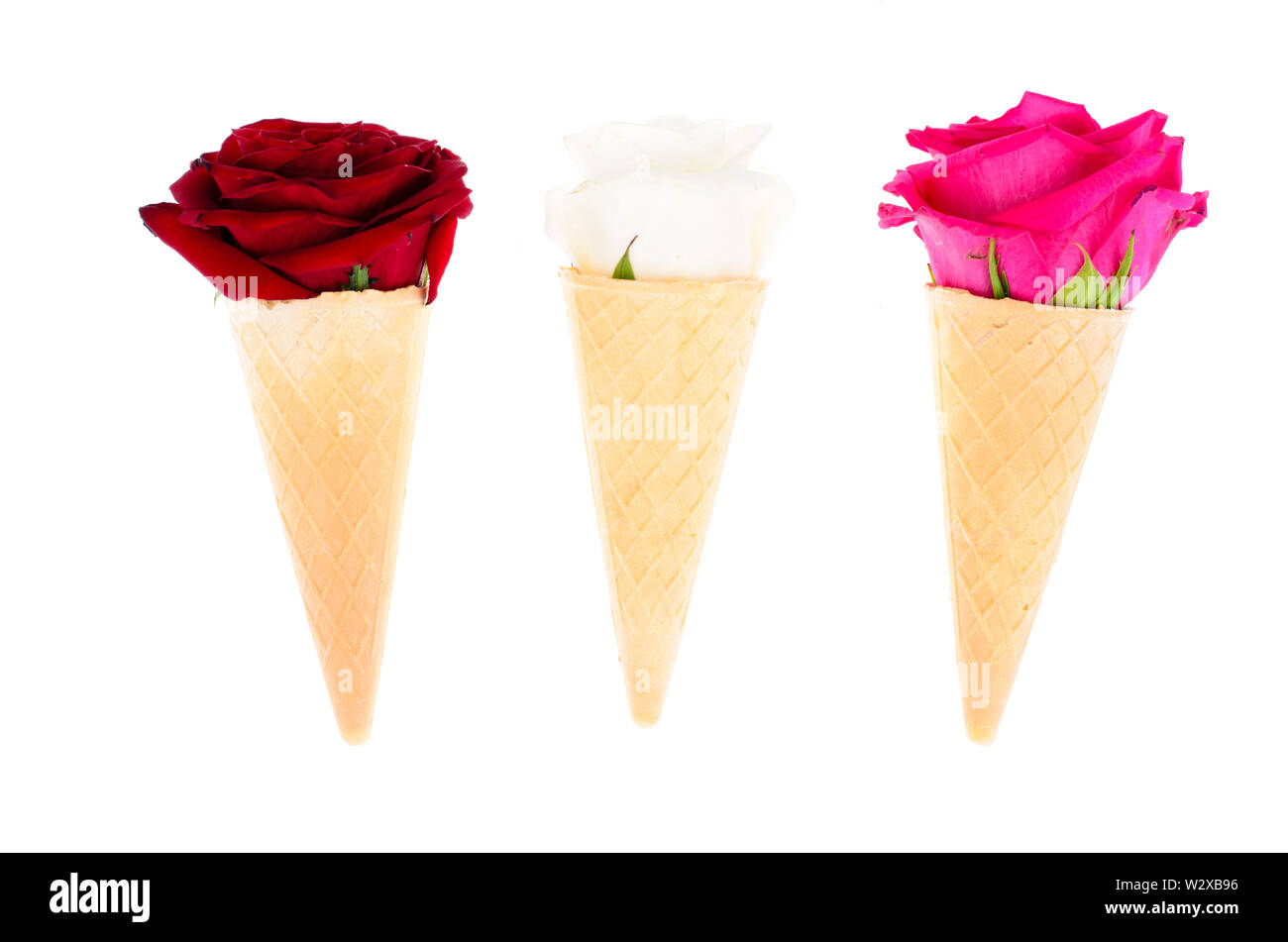 Roses in awafer ice cream cone Stock Photo - Alamy