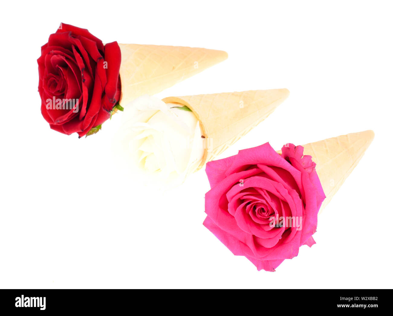 Roses in awafer ice cream cone Stock Photo - Alamy