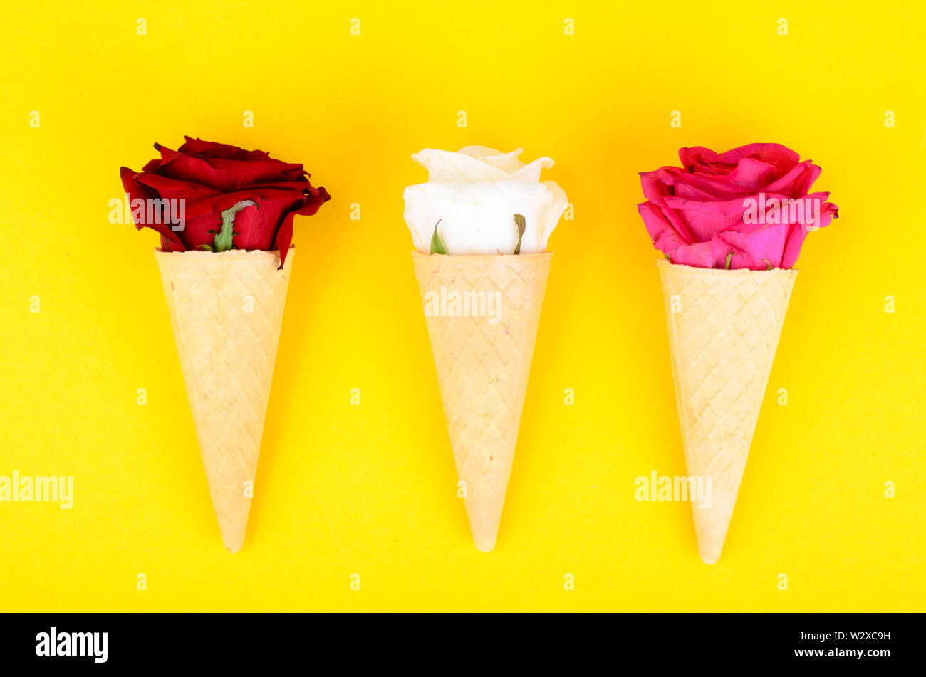 Roses in awafer ice cream cone Stock Photo - Alamy