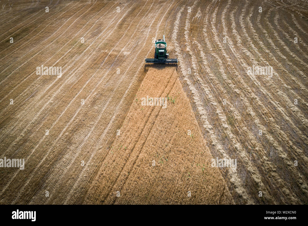 Aerial shot of a combine harvesting triangle peice of crop field on a ...