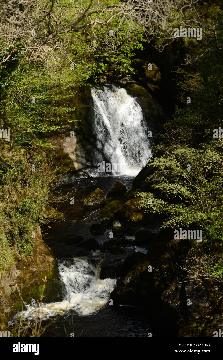 Victorian waterfalls hi-res stock photography and images - Alamy