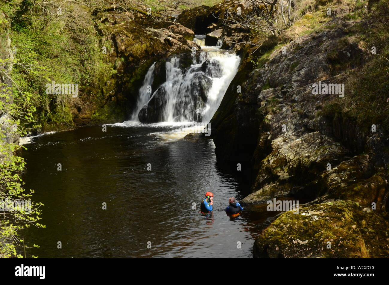 Swift peak district hi-res stock photography and images - Alamy
