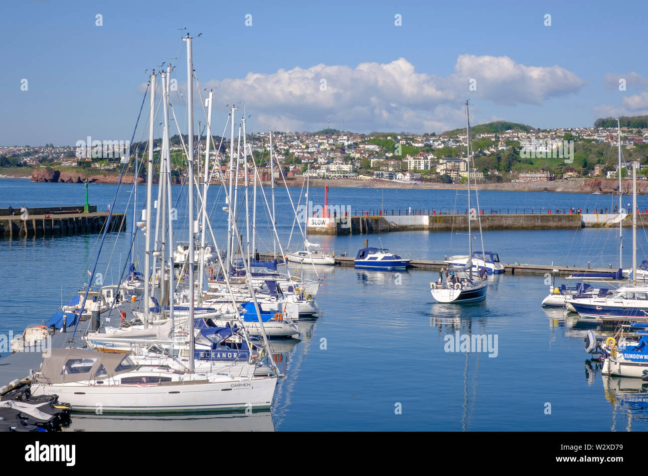 Torquay Harbour and Marina Torquay Devon England Stock Photo - Alamy