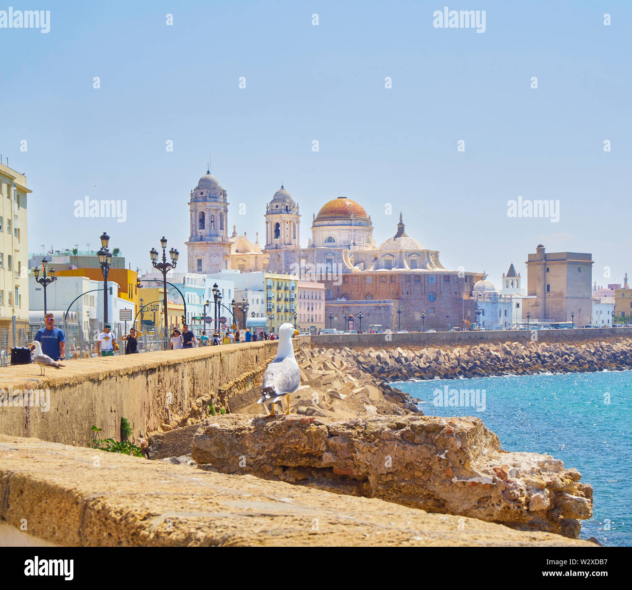 Paseo Campo del Sur Promenade with The Cadiz Cathedral called Santa ...