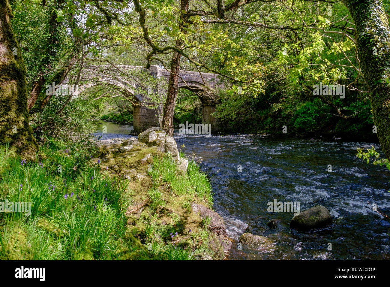 Dartmoor Sightseeing High Resolution Stock Photography and Images - Alamy