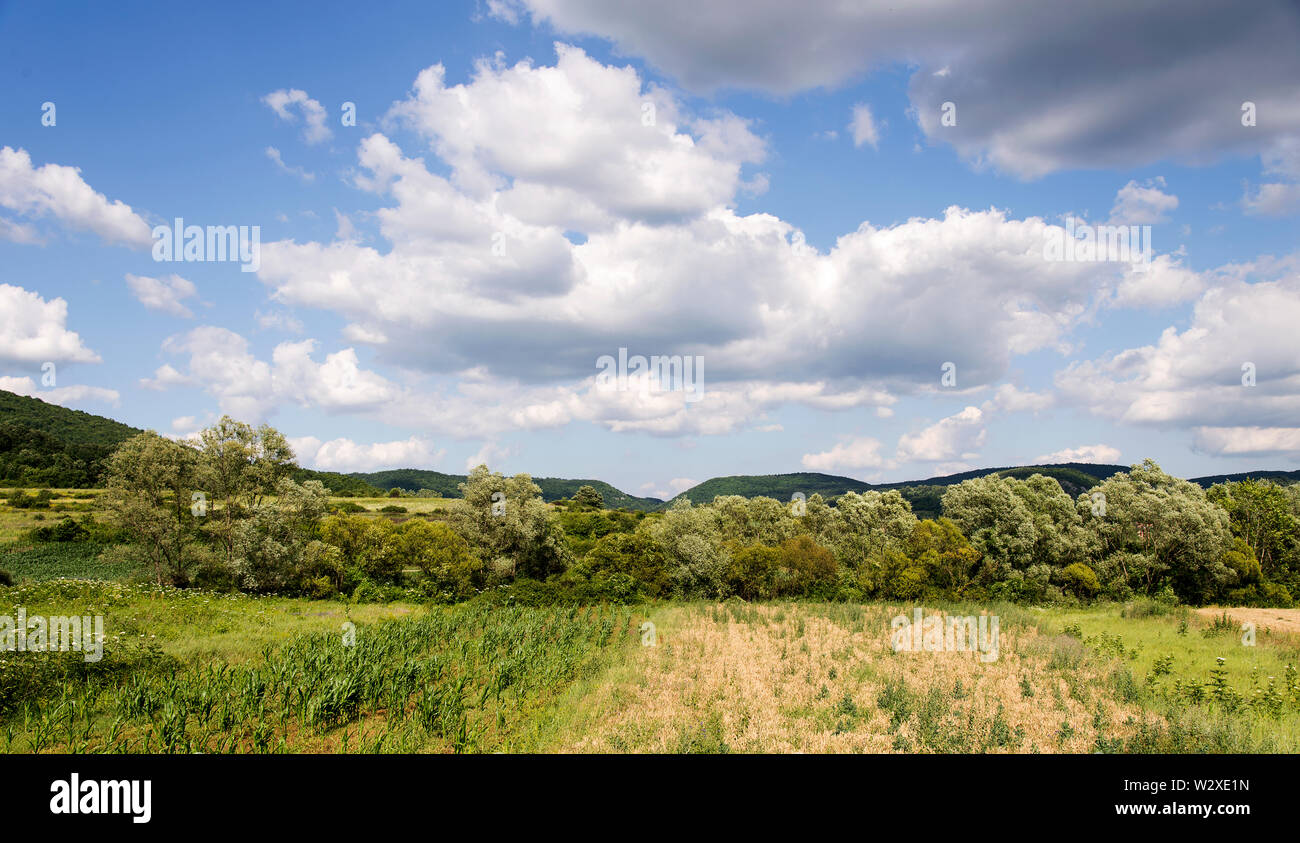 Meadow and cloudy sky peace Stock Photo - Alamy