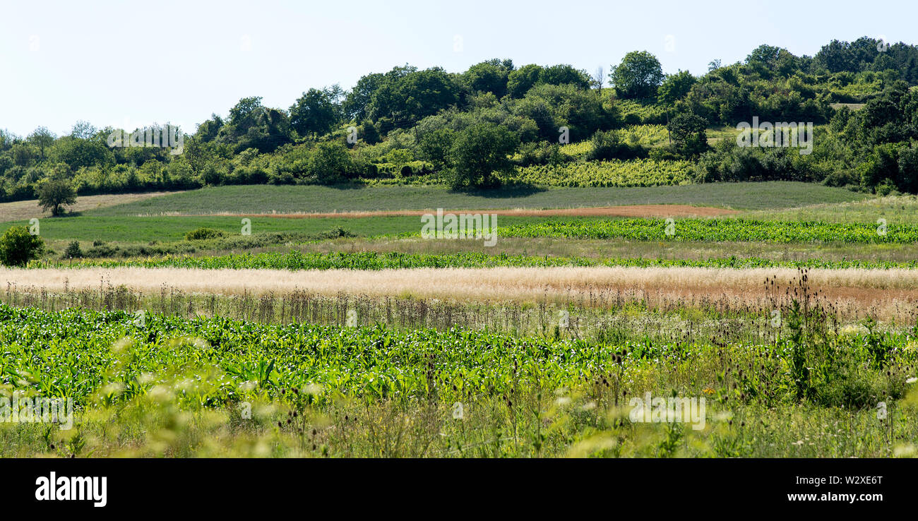 Countryside cloudy sky peace hi-res stock photography and images - Alamy