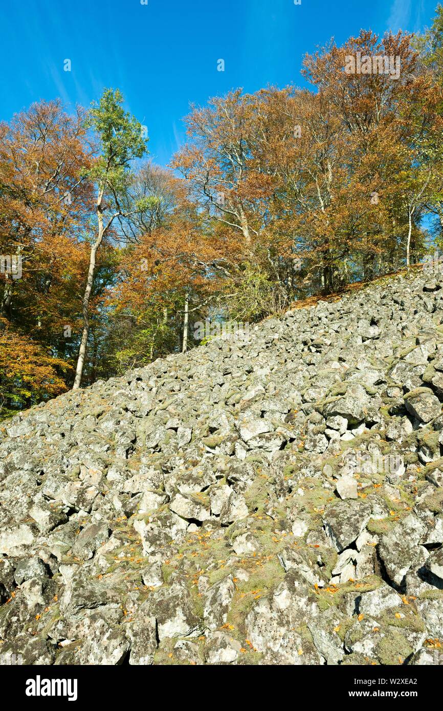 Block heap, mountain Losershag, autumn, biosphere reserve Rhon, nature ...