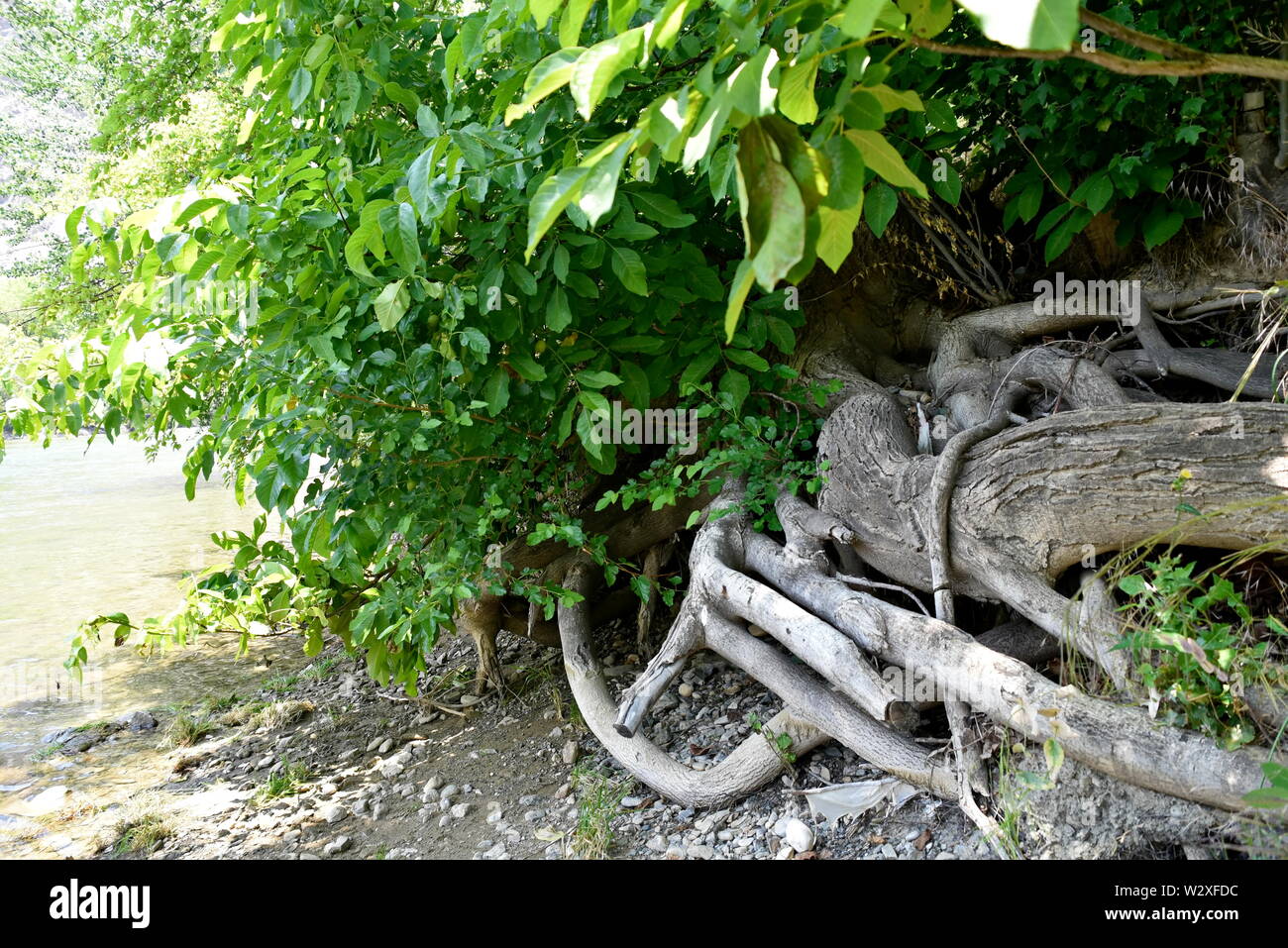 View of Zayandeh rood (Zayanderud), Esfahan, Iran at the day Stock ...