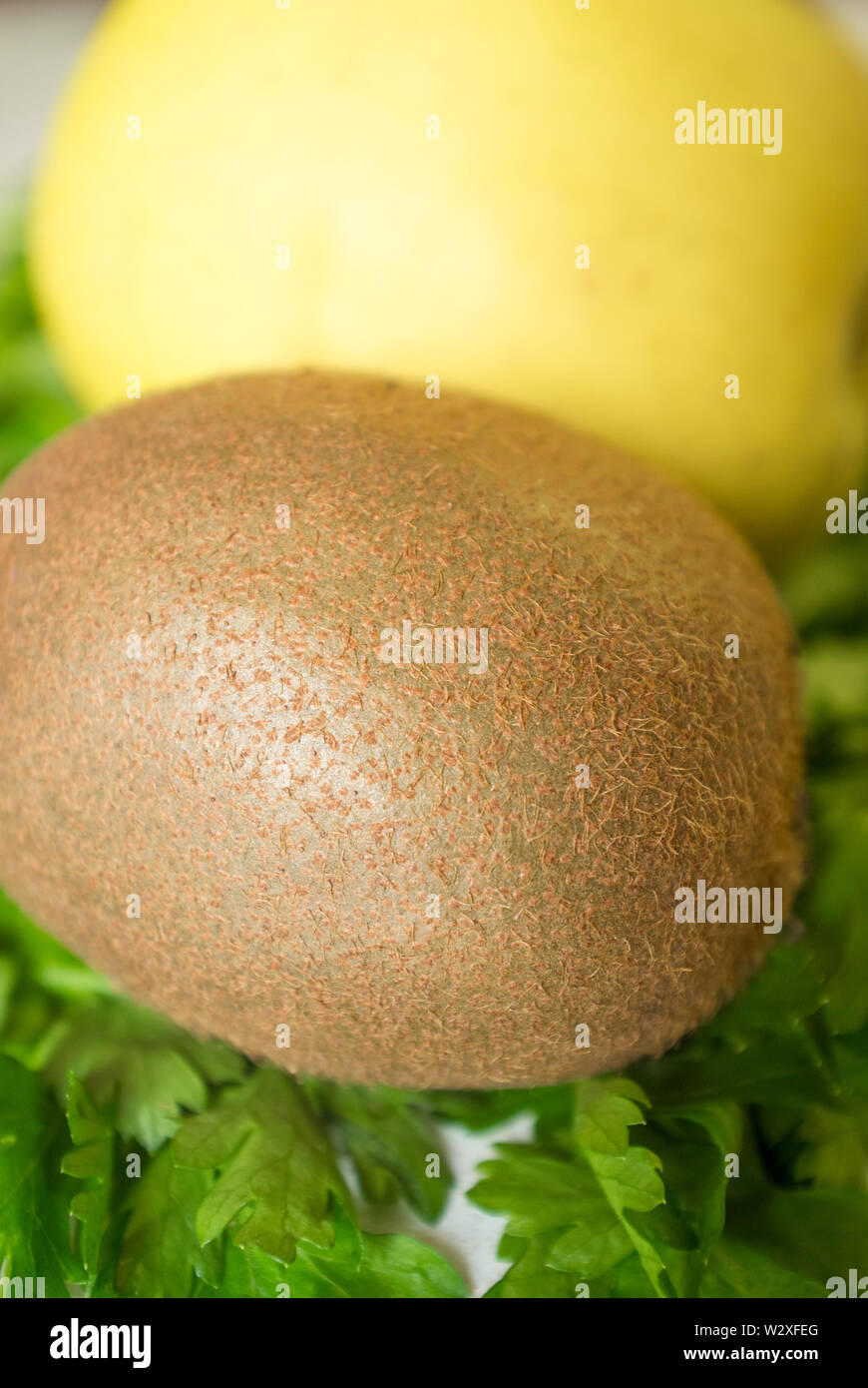 Rough skin kiwifruit hi-res stock photography and images - Alamy