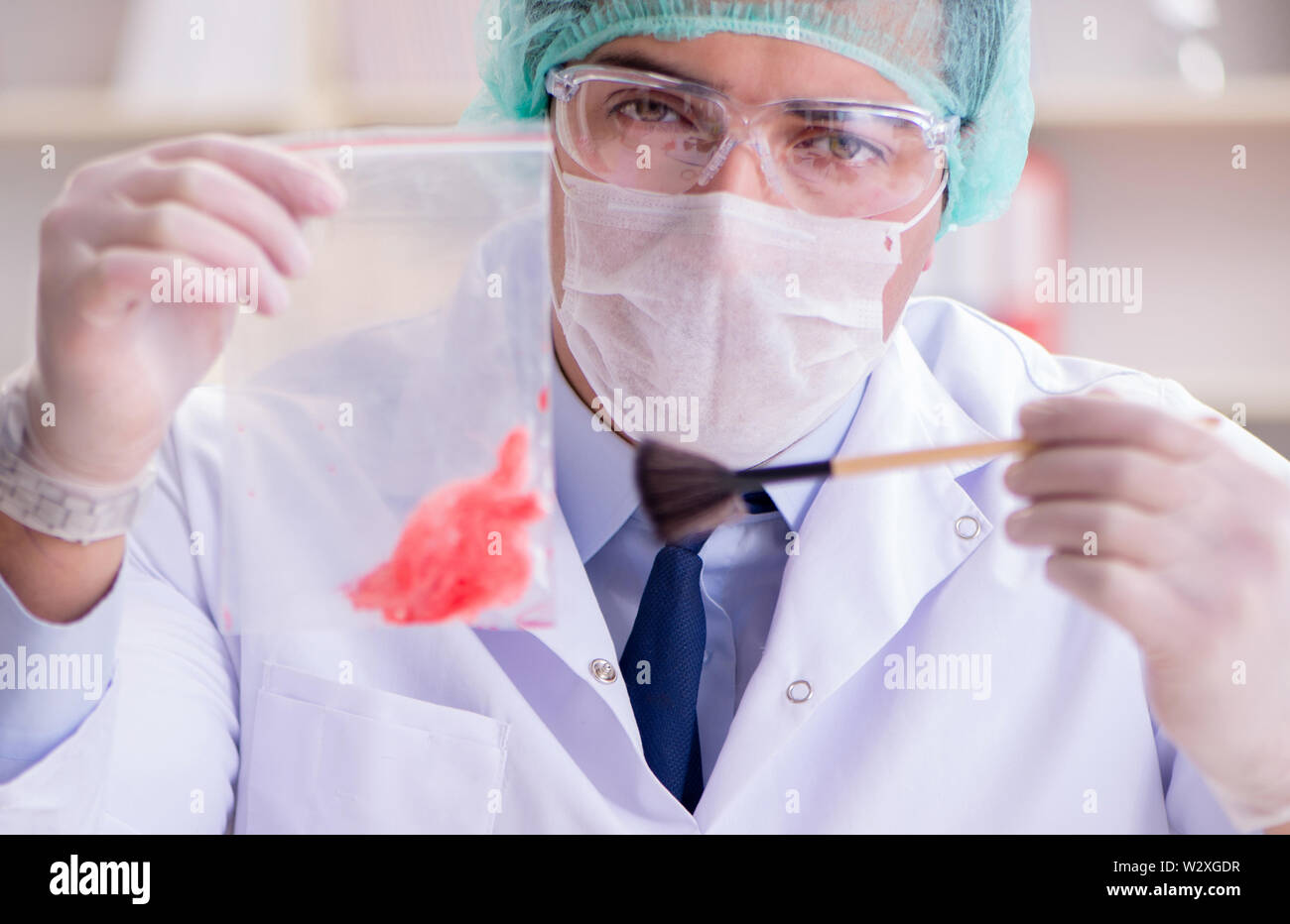 The forensics investigator working in lab on crime evidence Stock Photo ...