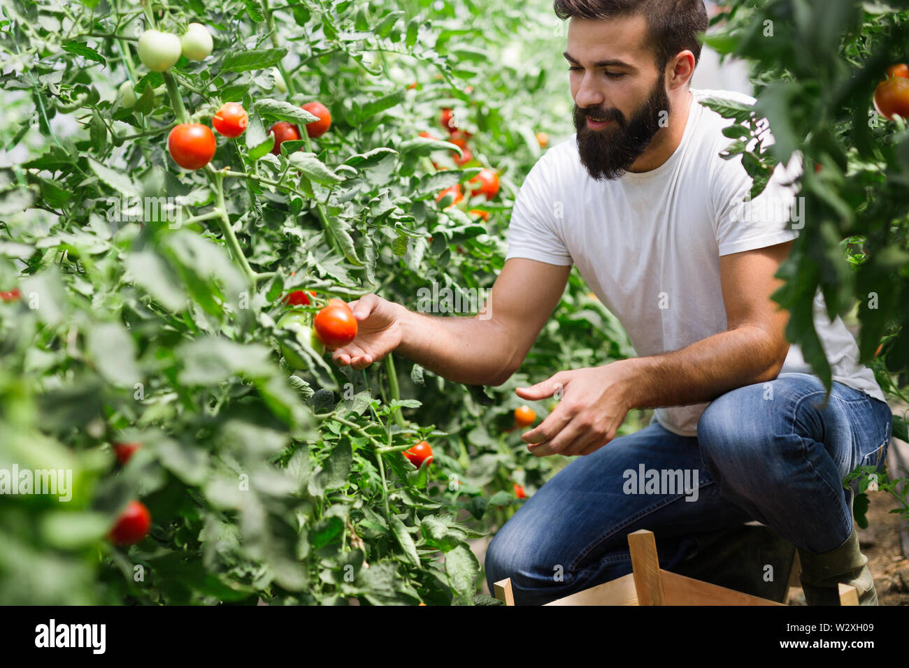 Friendly farmer hi-res stock photography and images - Alamy