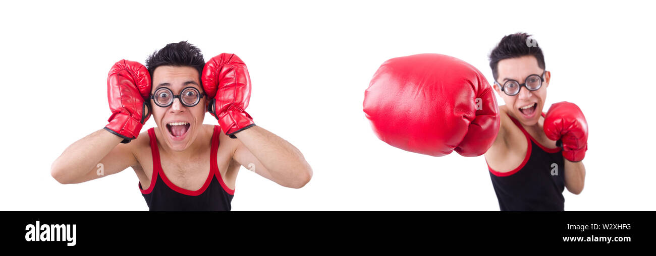 The funny boxer isolated on the white background Stock Photo - Alamy