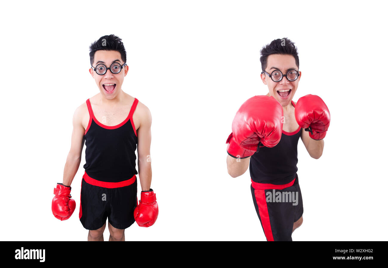 The funny boxer isolated on the white background Stock Photo - Alamy