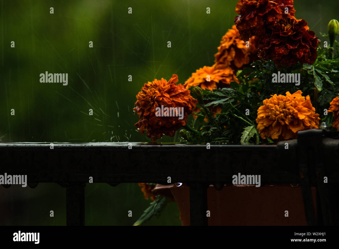 Rain on window slow motion hi-res stock photography and images - Alamy