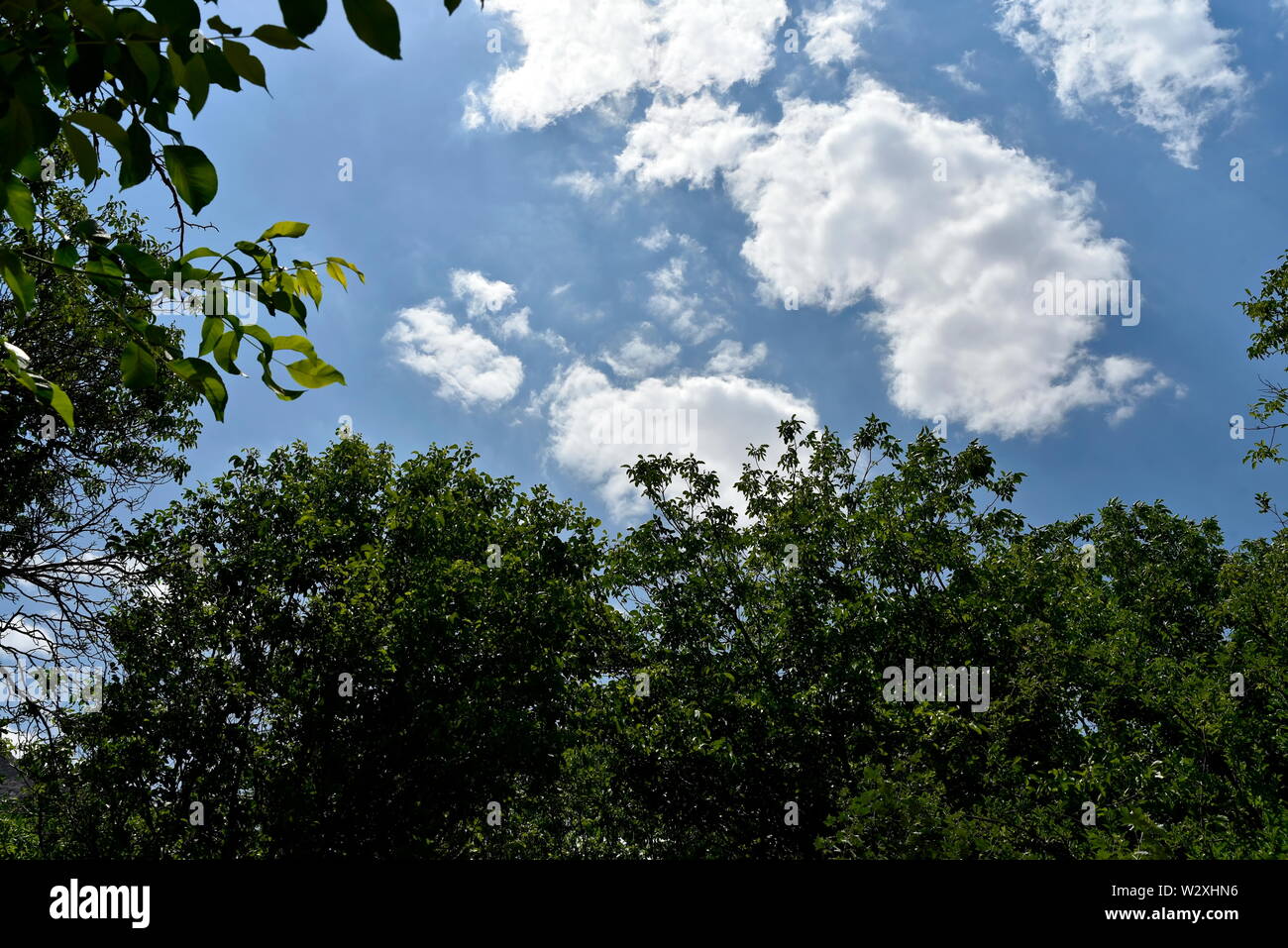 View of Zayandeh rood (Zayanderud), Esfahan, Iran at the day Stock ...