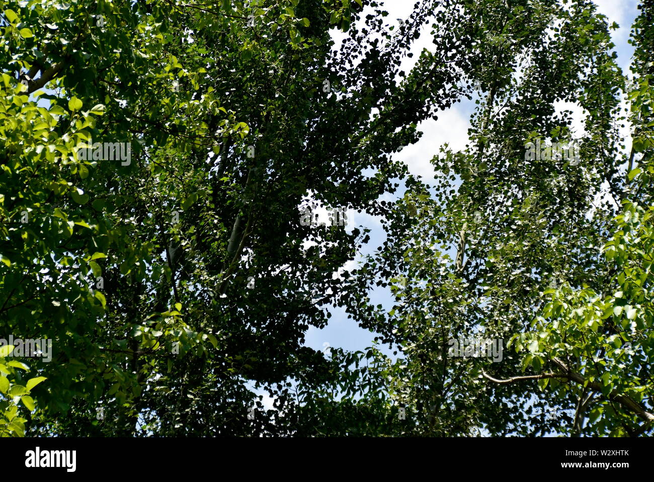 View of Zayandeh rood (Zayanderud), Esfahan, Iran at the day Stock ...