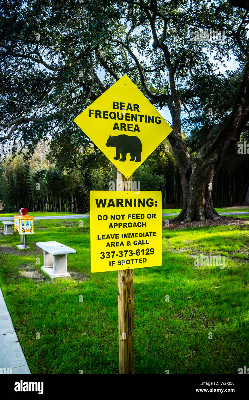 Bear sighting hi-res stock photography and images - Alamy