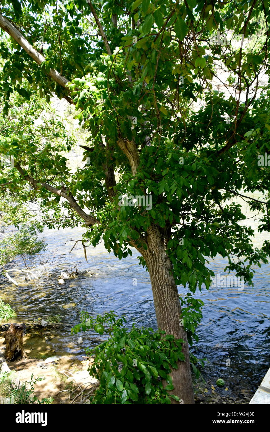 View of Zayandeh rood (Zayanderud), Esfahan, Iran at the day Stock ...