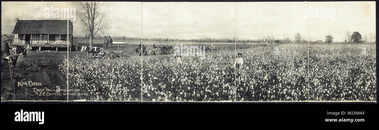 Original panoramic photograph entitled, King Cotton, Library of ...