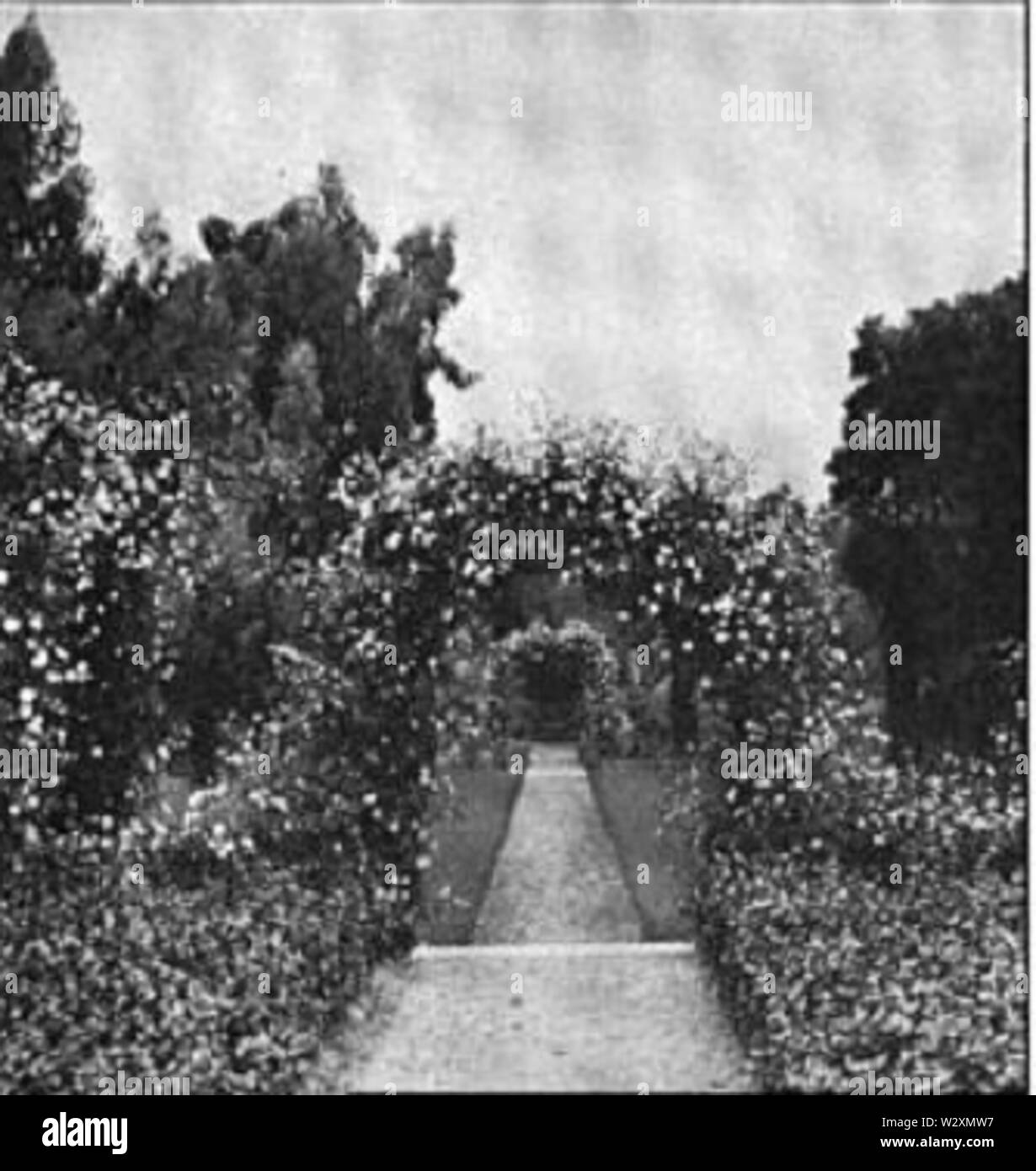 Rose home garden Black and White Stock Photos & Images - Alamy