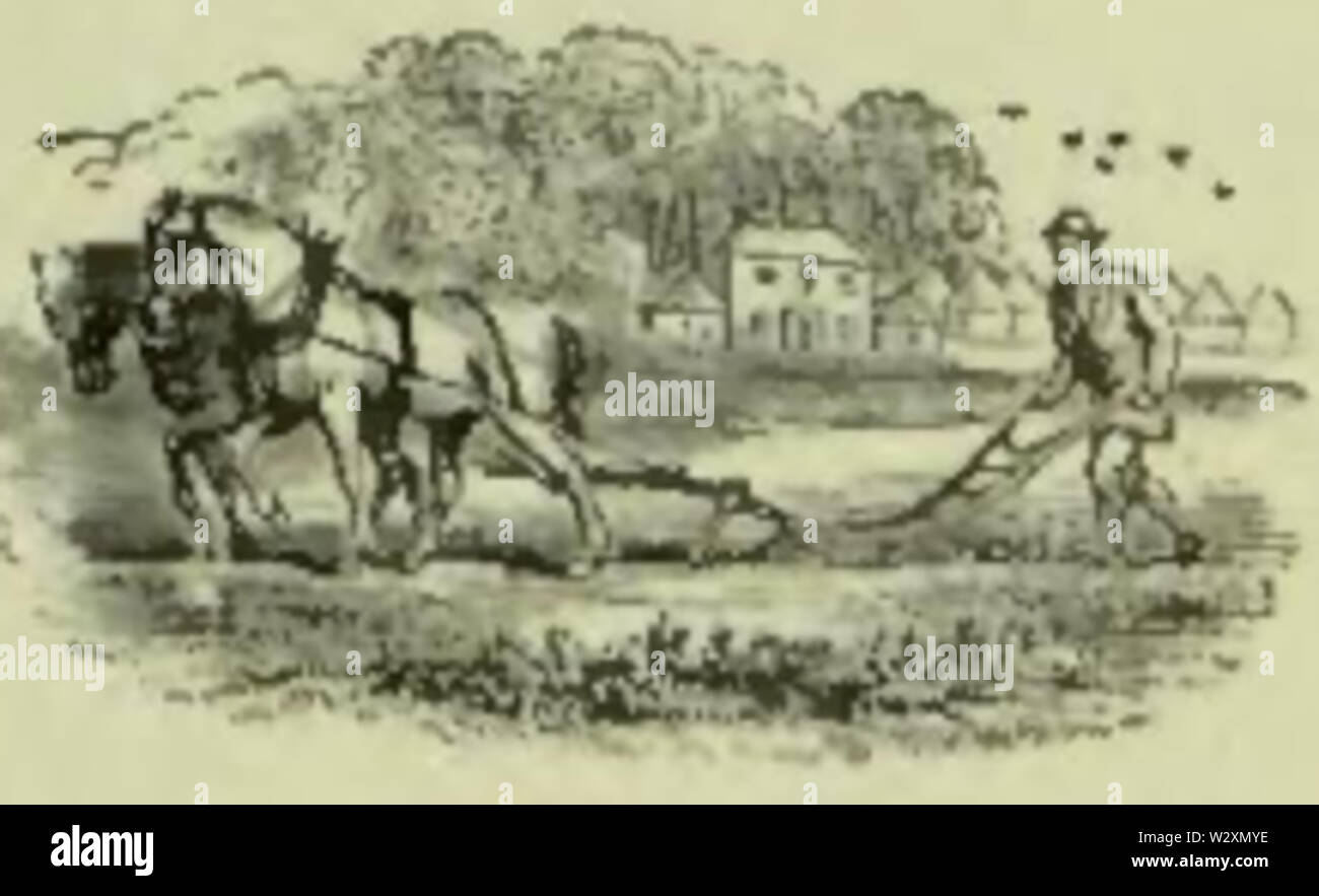 Laboureur dans son champ Stock Photo - Alamy