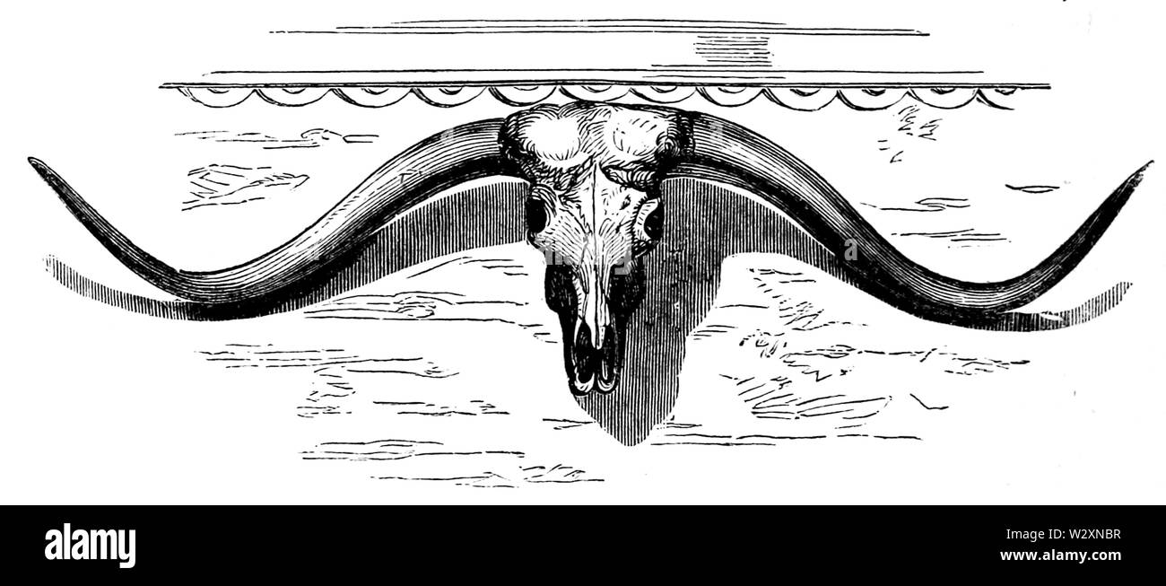 Southern shore Cut Out Stock Images & Pictures - Alamy