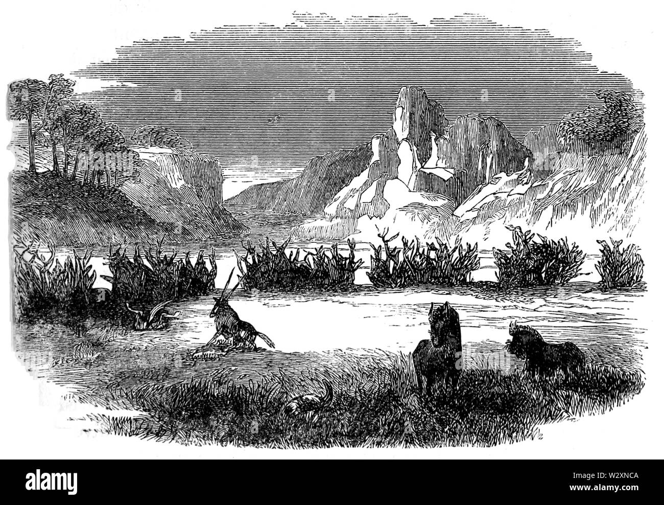 Lake ngami Black and White Stock Photos & Images - Alamy