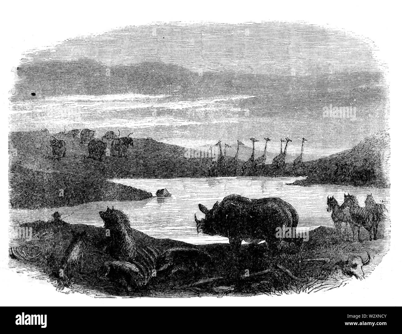 Lake ngami Black and White Stock Photos & Images - Alamy